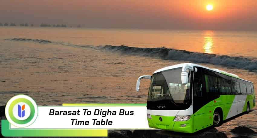 Discover www.LocalInformations.com - Your Ultimate Hub for Up-to-Date ...